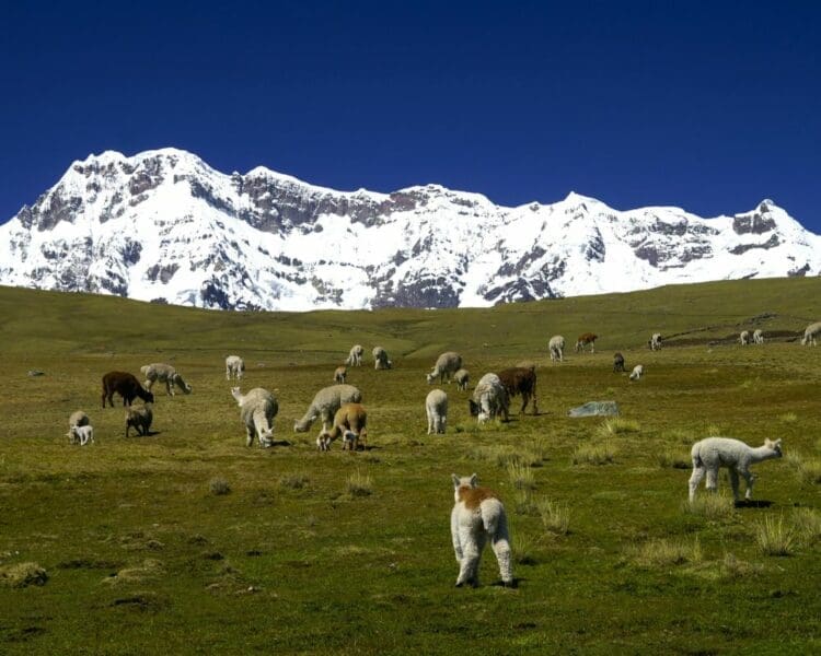 38 most beautiful places in the Andes Mountains Peru [with map!] | Peru ...